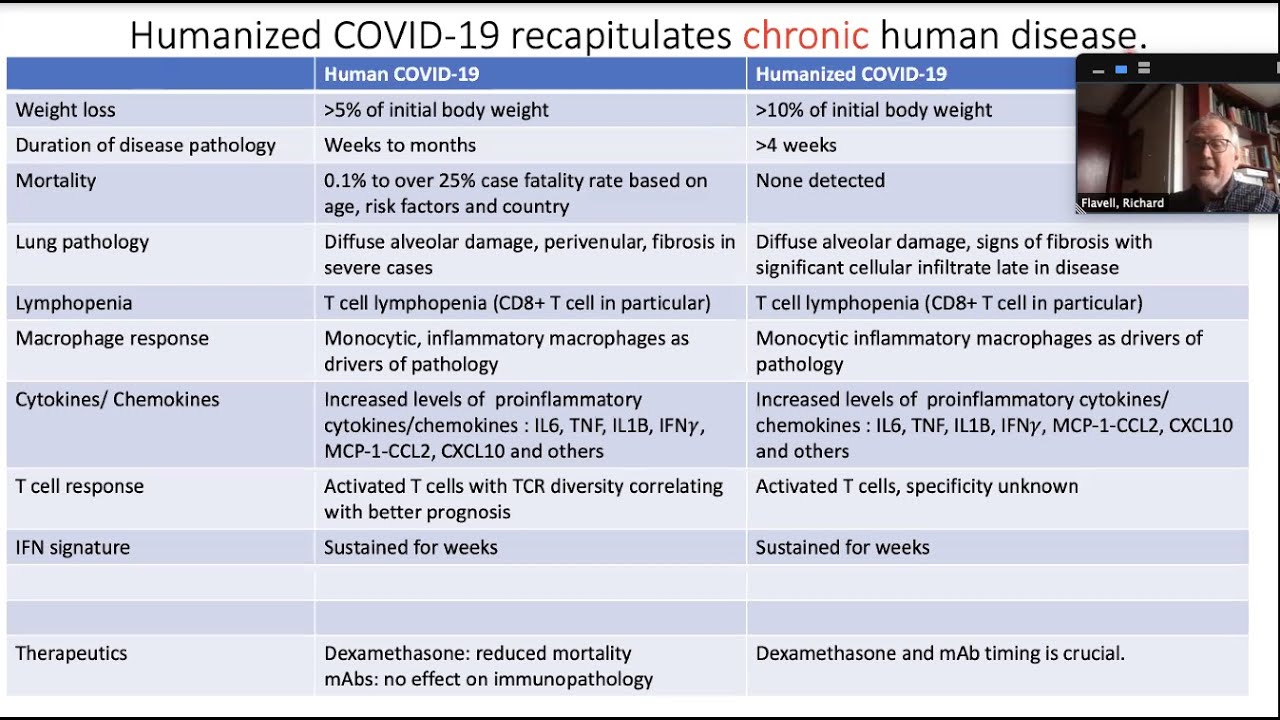 A humanized mouse model for COVID-19: Infection and Pathogenesis by Dr ...