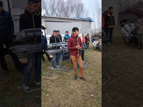 MEDYA MÜZİK IĞDIR
