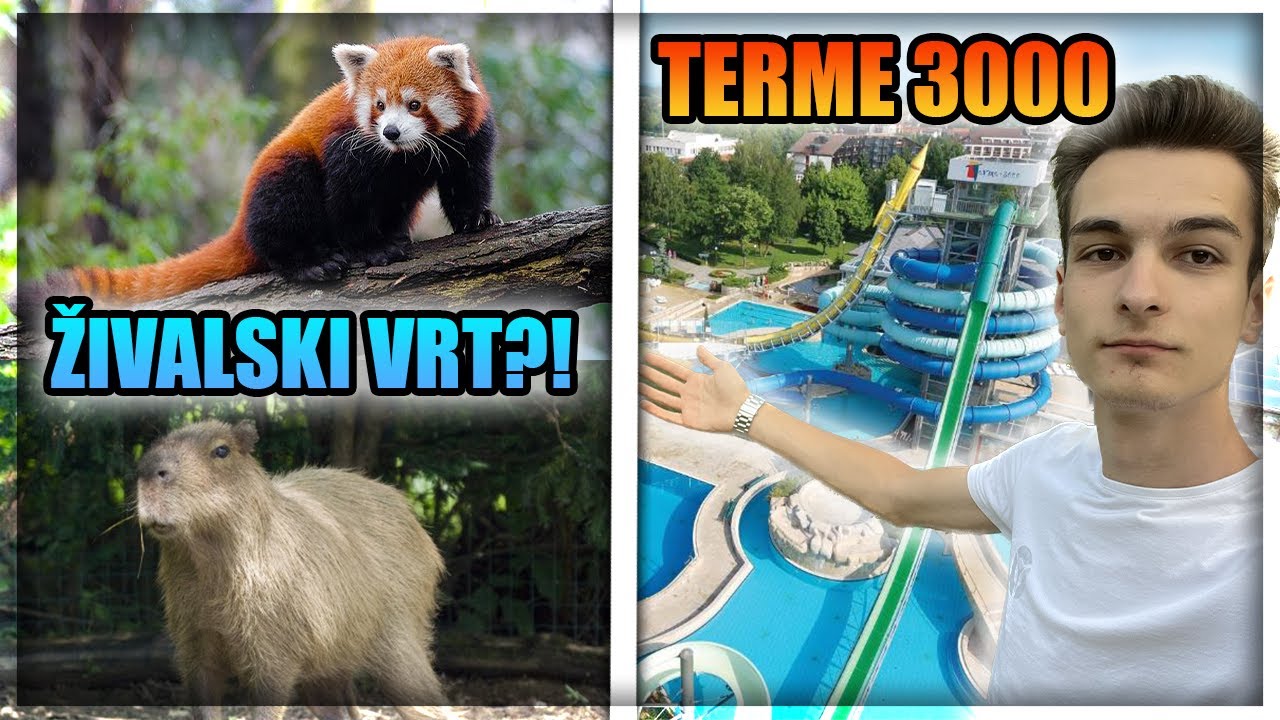 TERME 3000, ŽIVALSKI VRT IN NEVIHTE? Vlog - YouTube