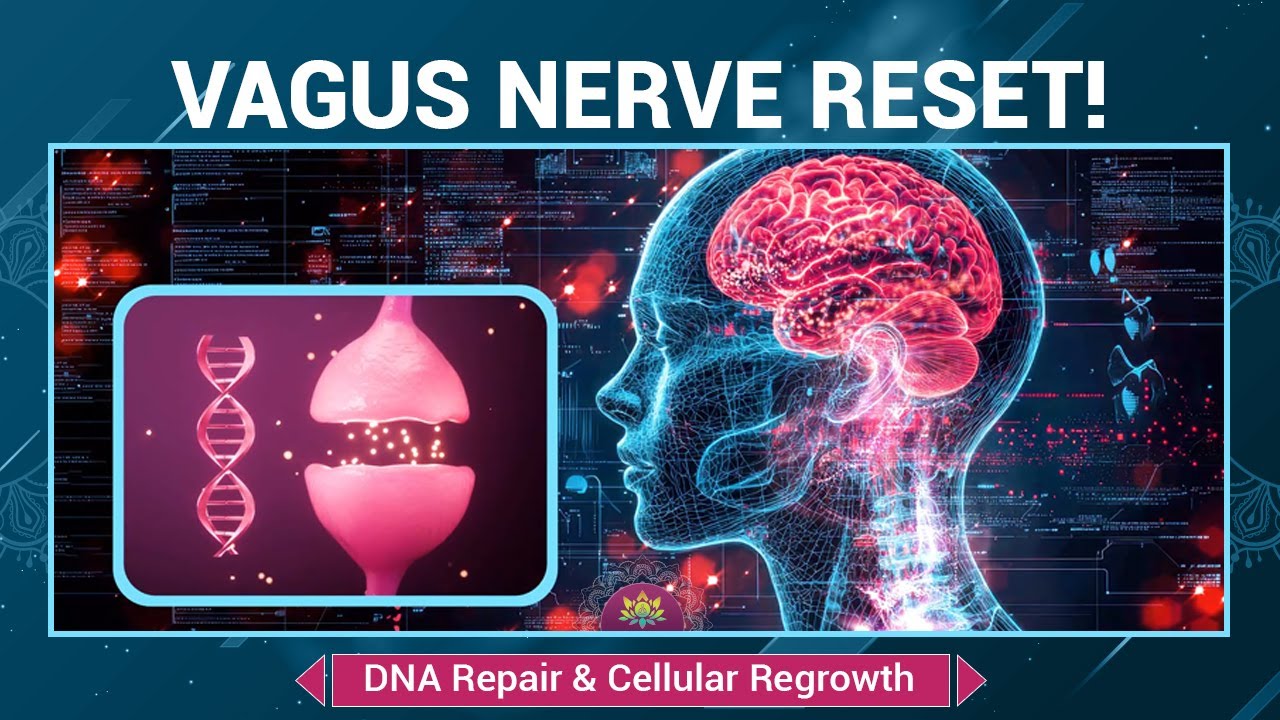 Vagus Nerve Reset – Restore Organs, Nerves & Body Tissues – Boost DNA ...
