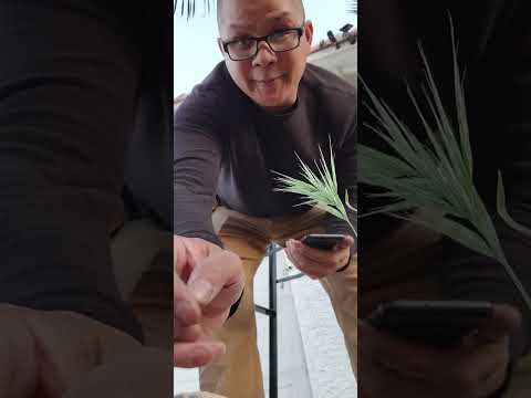 IHOXTX DF220 SOLAR POWERED SECURITY CAMERA - YouTube