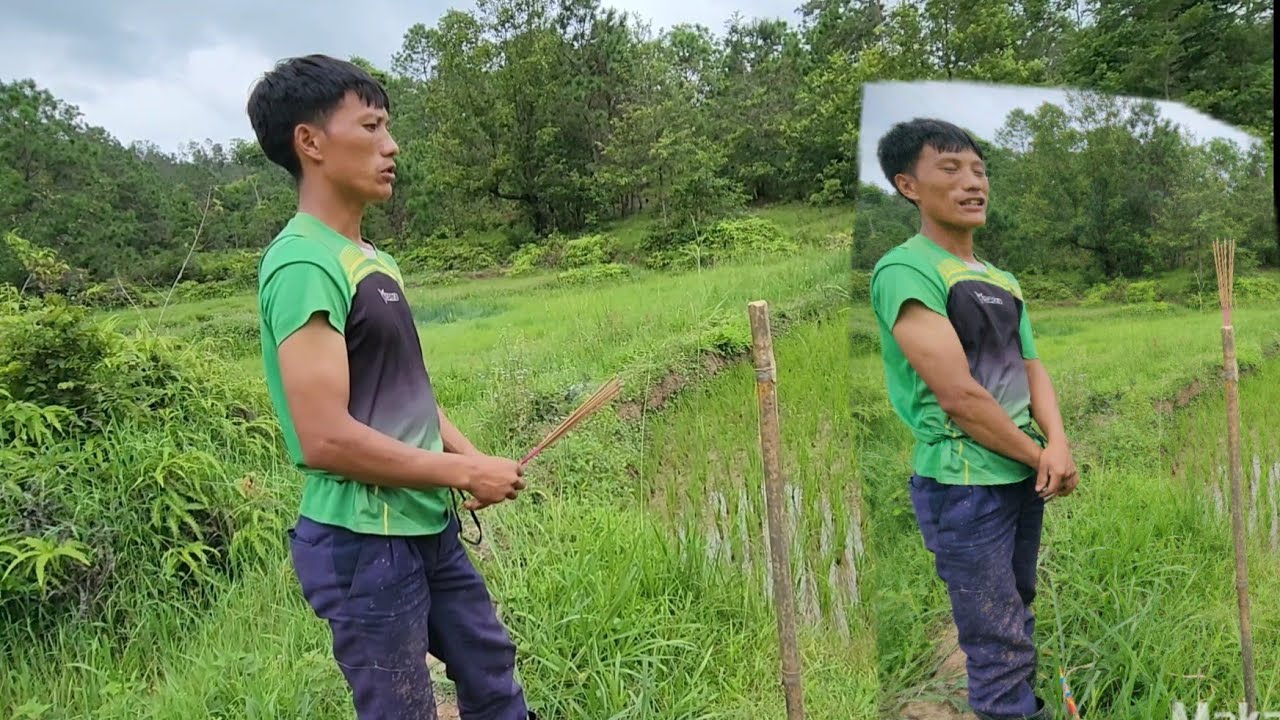 kwv teeb fiv yeem kom liaj zoo - YouTube