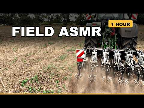 1 Hour of Strip Till & Tillage ASMR | Tractor White Noise // John Deere / Lemken