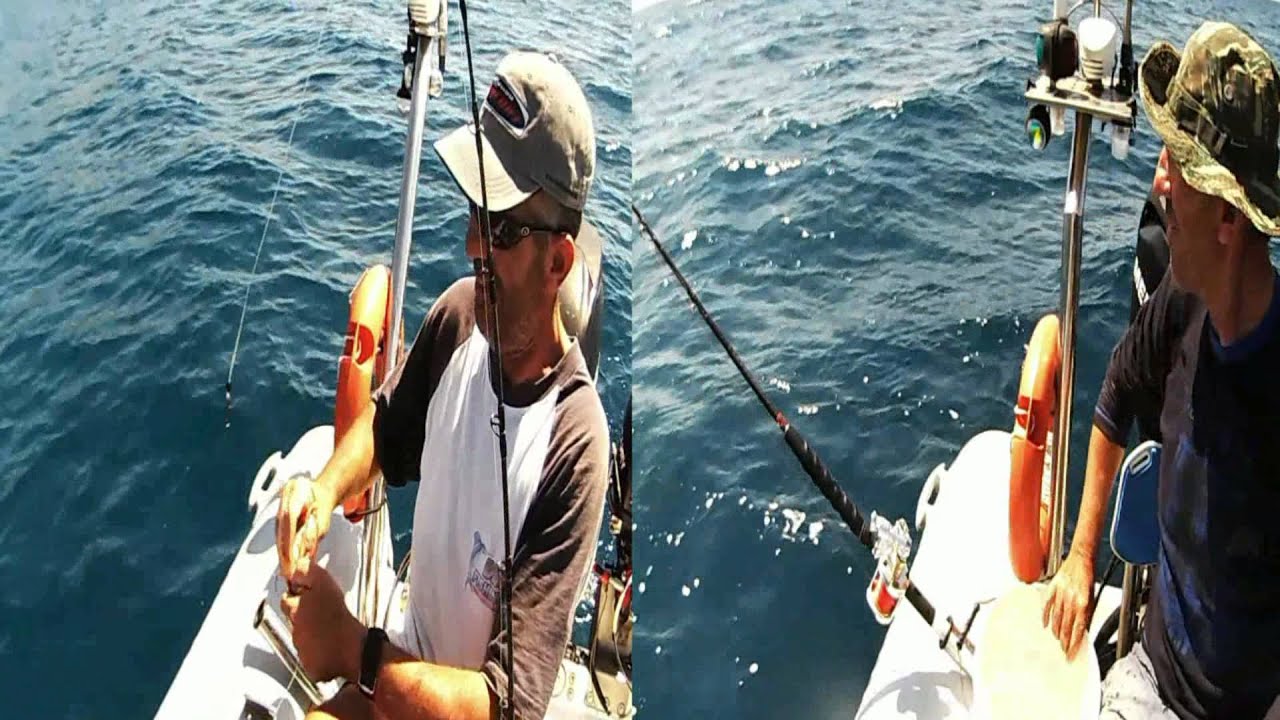 squid fish ΚΑΛΑΜΑΡΑΚΙΑ ΨΑΡΑΚΙΑ ΜΙΚΡΑ'' sotos fishing.mp4 - YouTube