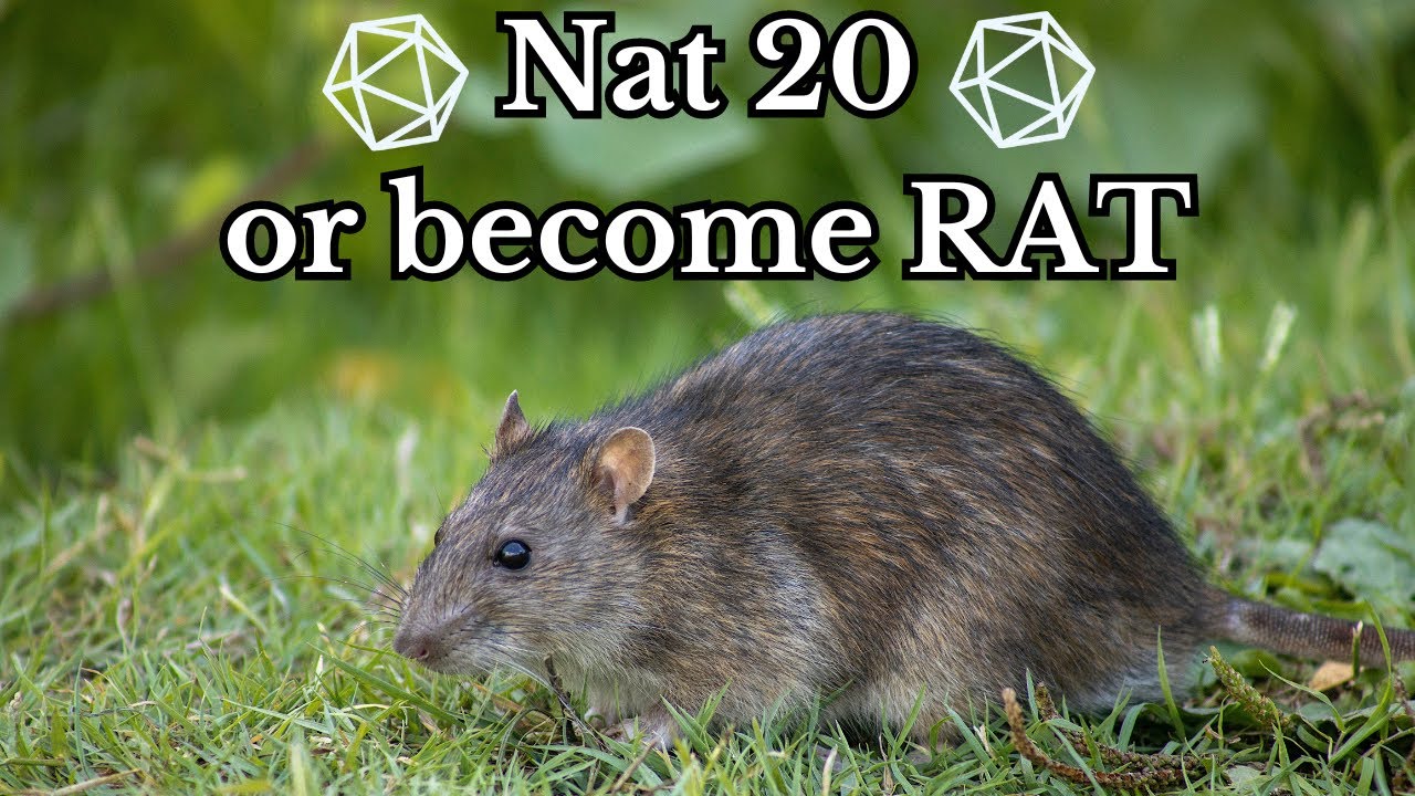 Become Rat ft. Butterpal (Frozen Shadows Ep. 37) - YouTube