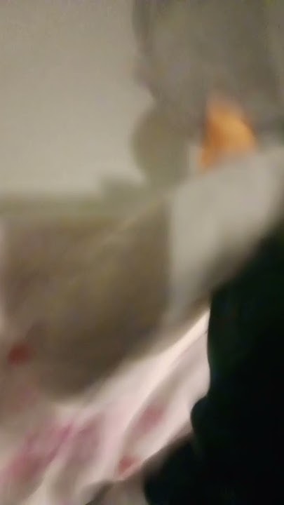 caída de rabbit - YouTube