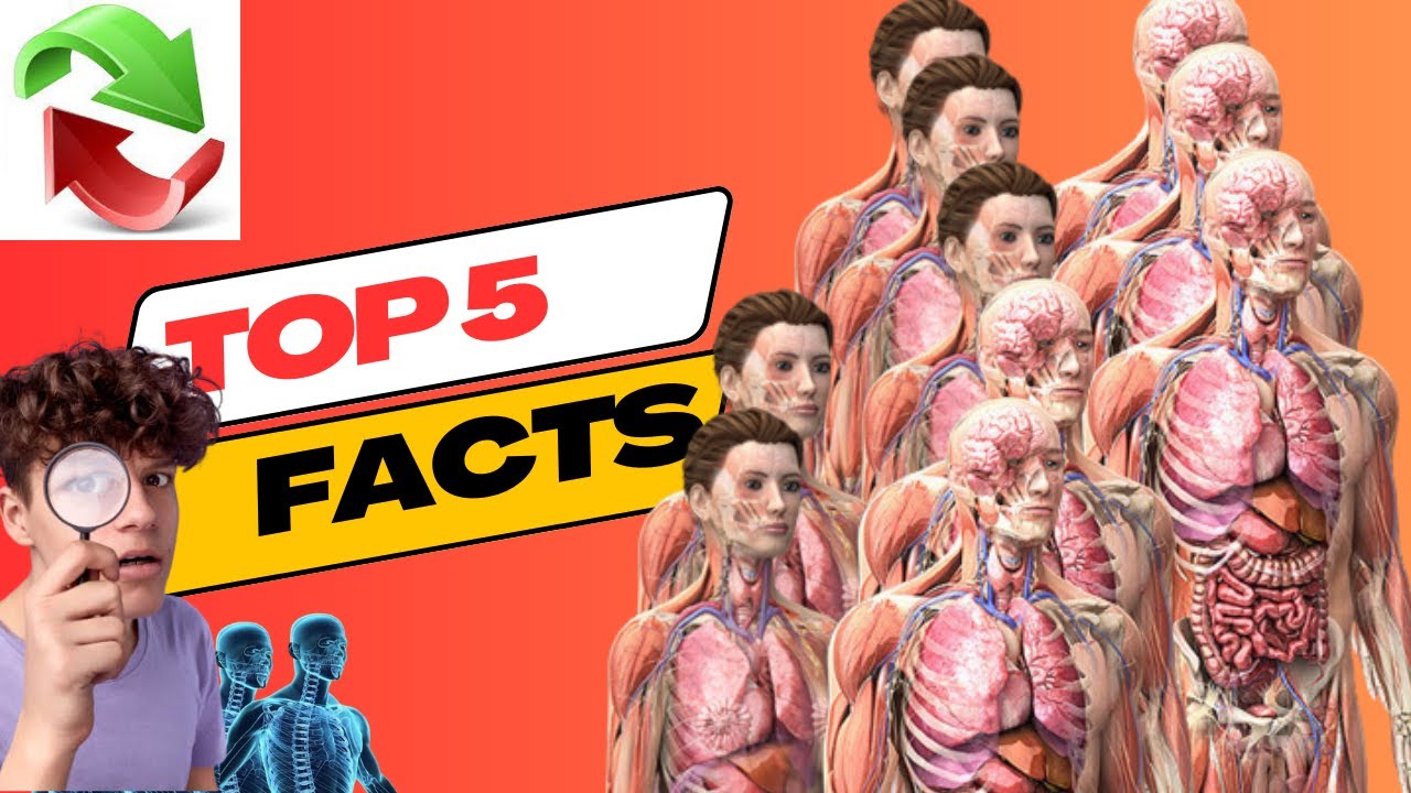 Unlocking the Mysteries of the Human Body: Unknown Facts! - YouTube