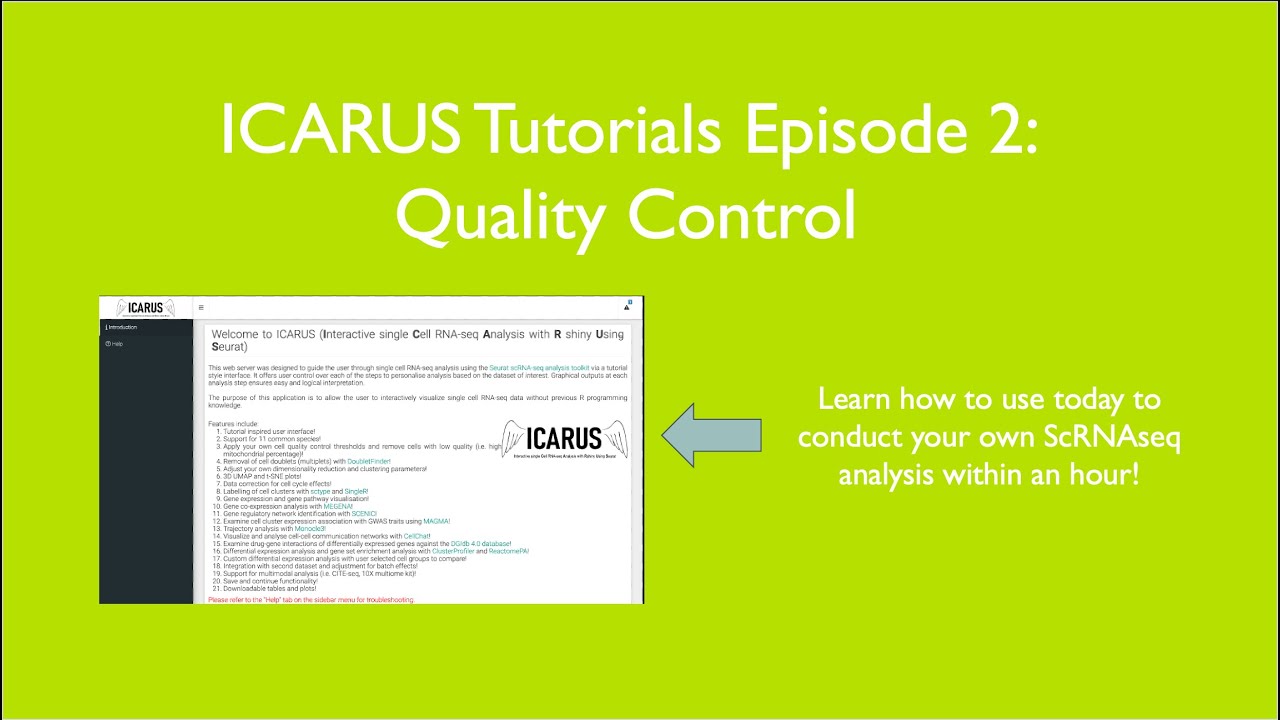 ICARUS Tutorials Episode 2: Quality Control - YouTube
