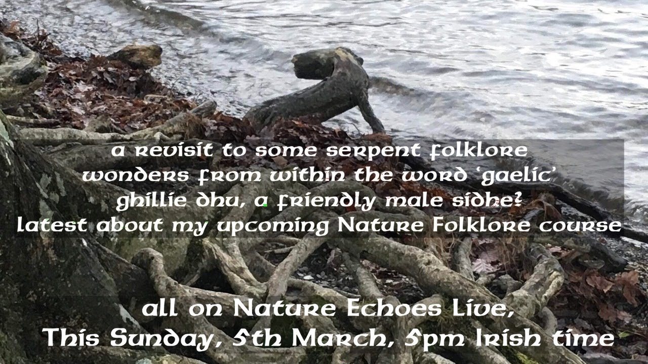 Nature Echoes Live 13 - the underworld around trees - YouTube