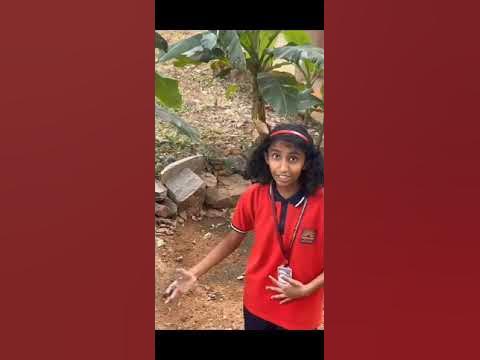 UNITY THROUGH LANGUAGE. Day 1 activity- HARMONY IN LANGUAGE AND NATURE ...