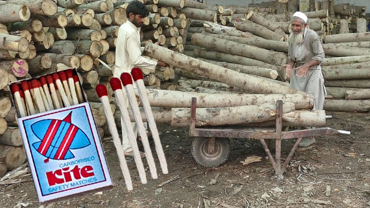 WOW! Wonderful Process of Matches Sticks Making - YouTube