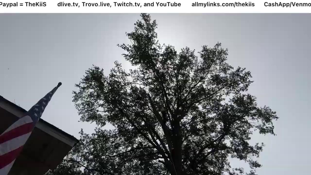 IRL|Tree Trimming - YouTube