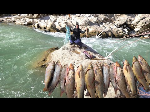 Esmat's Exciting Journey to Catch Fish by the River 🎣🏞️