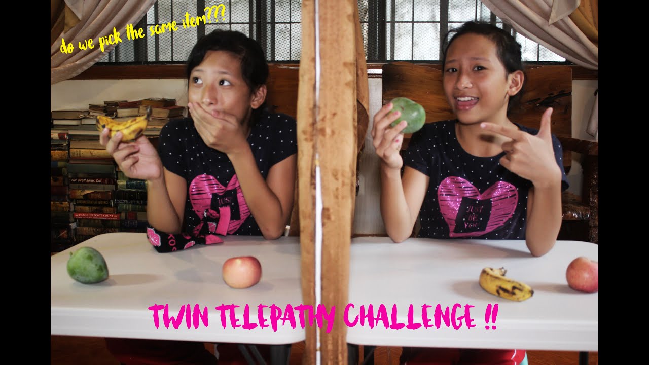 #08 Twin Telepathy Challenge!! (Do They Pick The Same Item?!) - YouTube