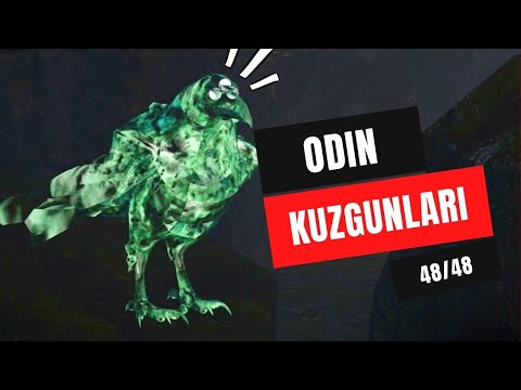 God of War Ragnarok Tüm Odin Kuzgunları / 48 ODIN KUZGUNU NEREDE BULUNUR?