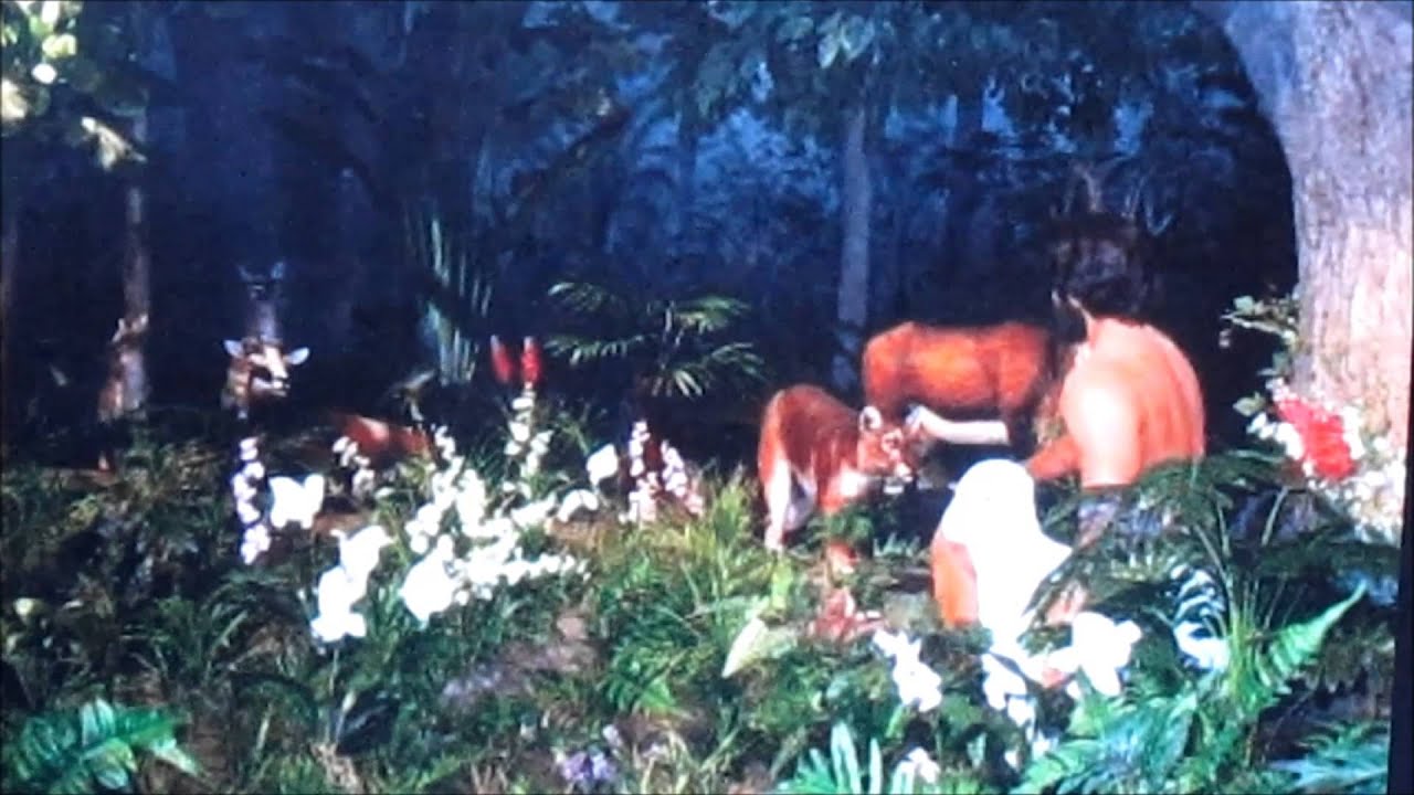 Fijismo y Creacionismo - YouTube