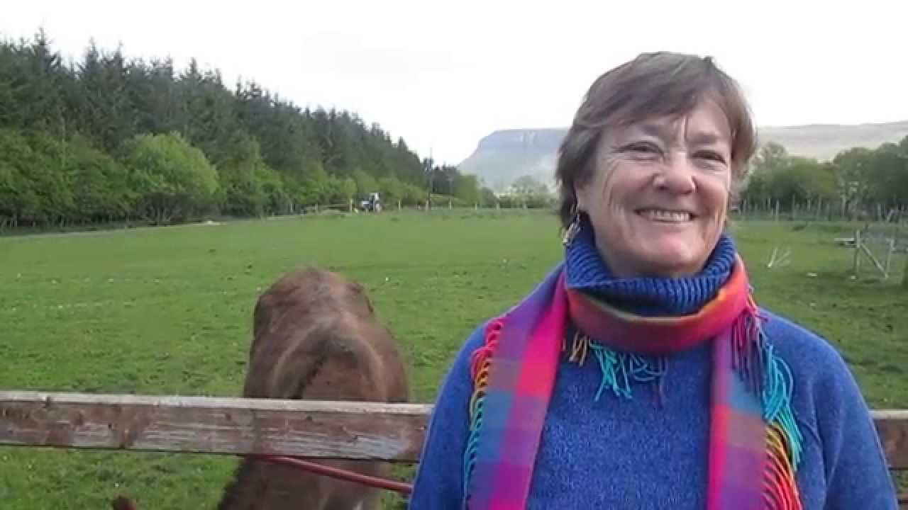 The "Weavings" of the Wild West Irish Tour! A Review from Nicki of Cape ...