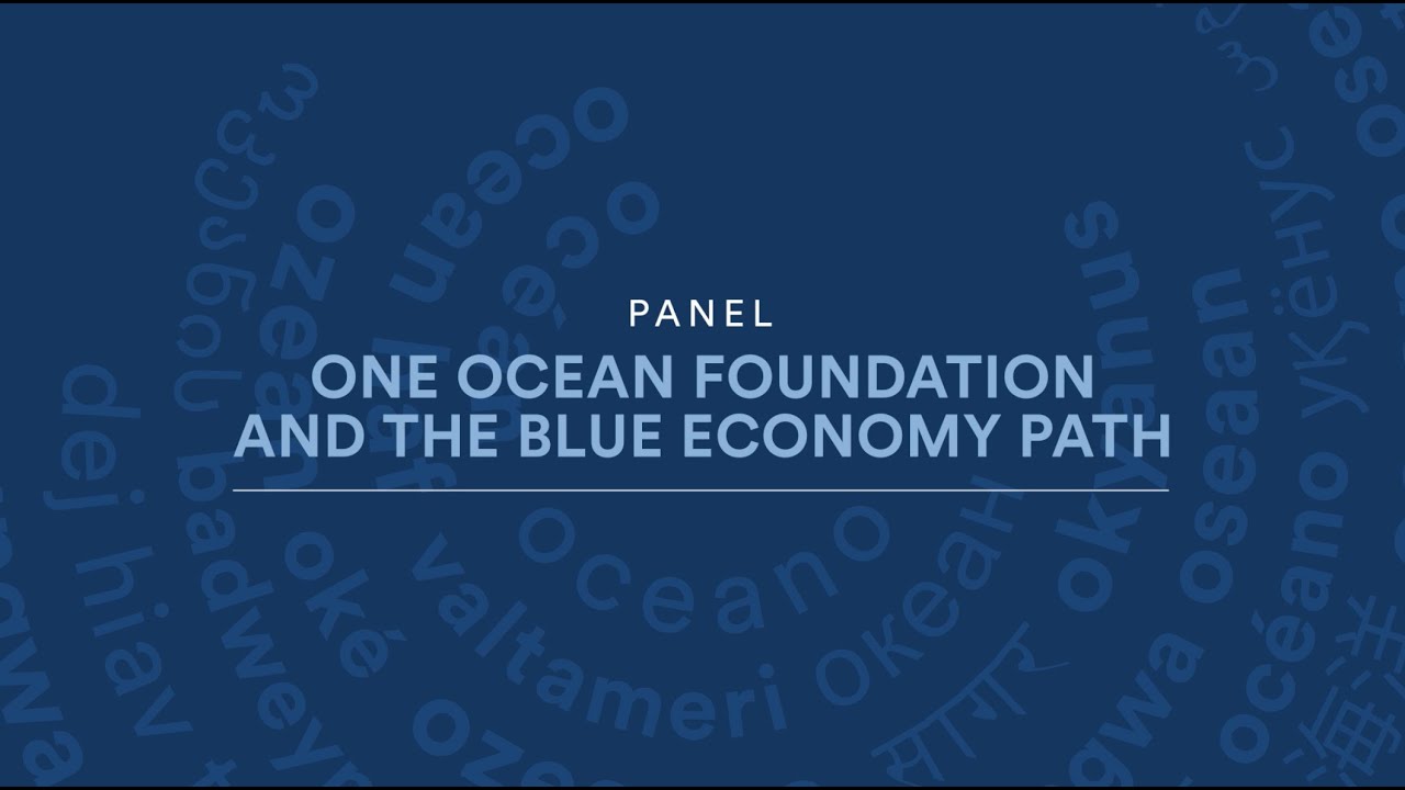 One Ocean Foundation and the Blue Economy Path | Blue Economy Summit ...