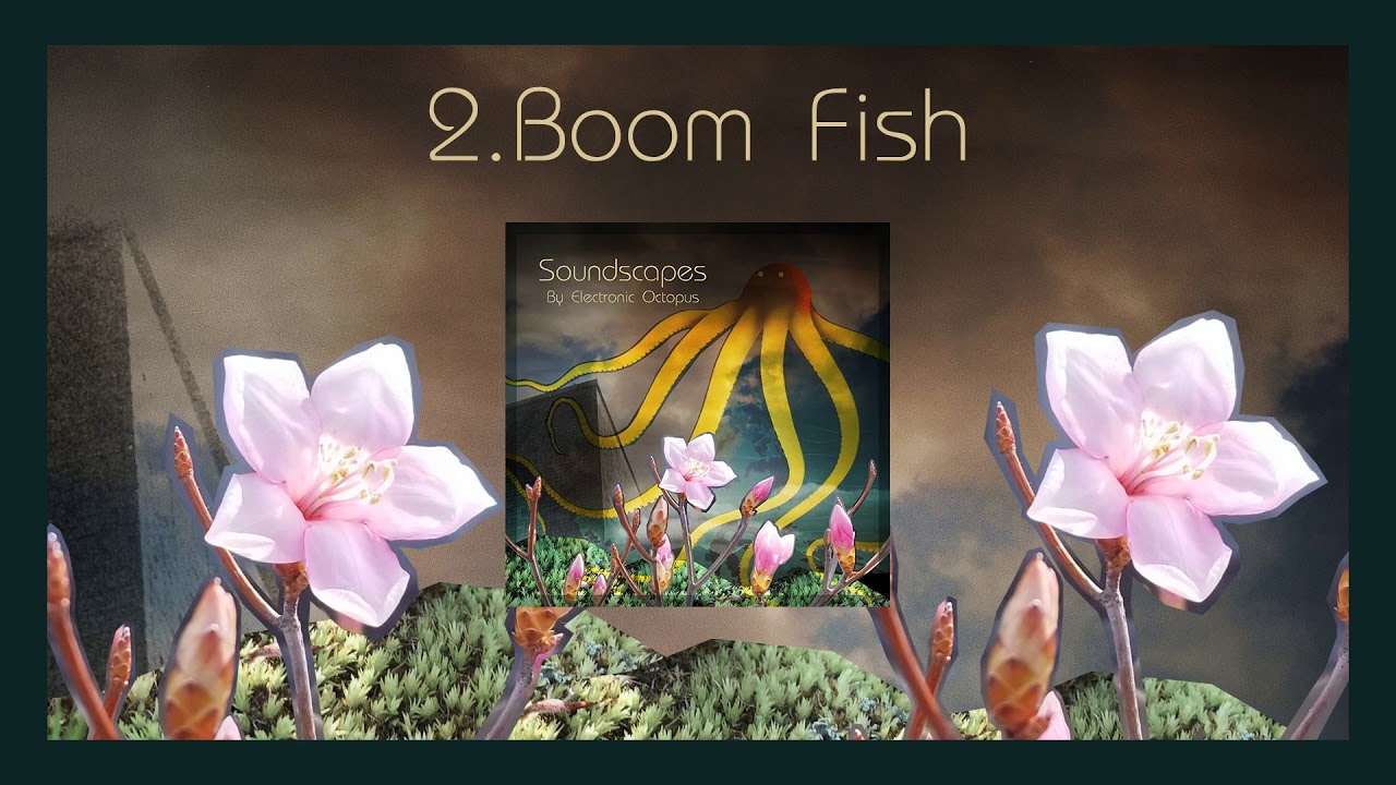 2. Boom Fish - Soundscapes (music album by Electronic Octopus ...