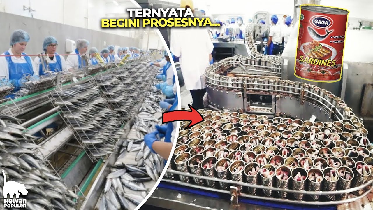 SERING DIMAKAN, Tapi Ga Tau Prosesnya? Begini Rahasia Produksi Pabrik ...