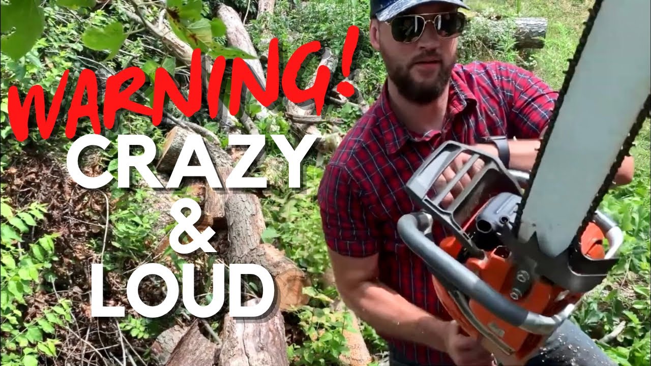‼️WARNING‼️ Crazy & Loud! Husqvarna 359 Chainsaw Muffler Mod & Cuts ...
