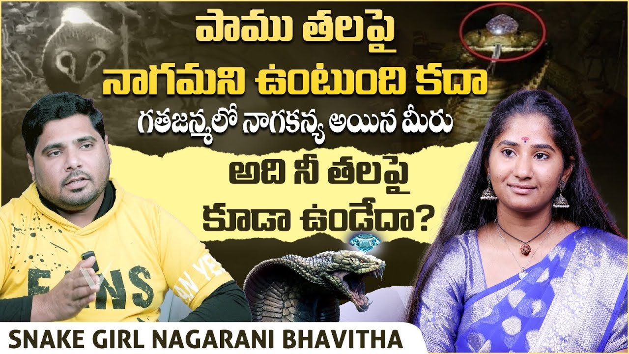 నాగుపాము తలపై నాగమని ఉంటె | Snake Girl Bhavitha on Snake Stone ...