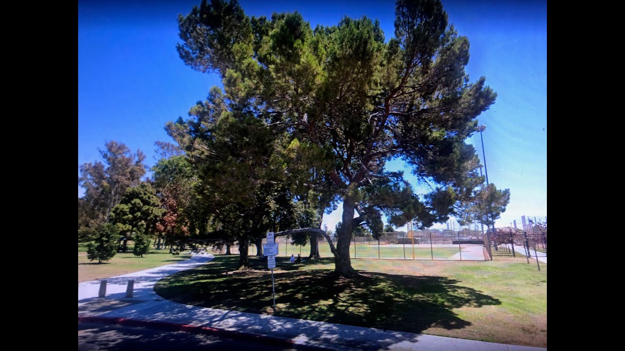 Susan Rittenhouse - YouTube Music