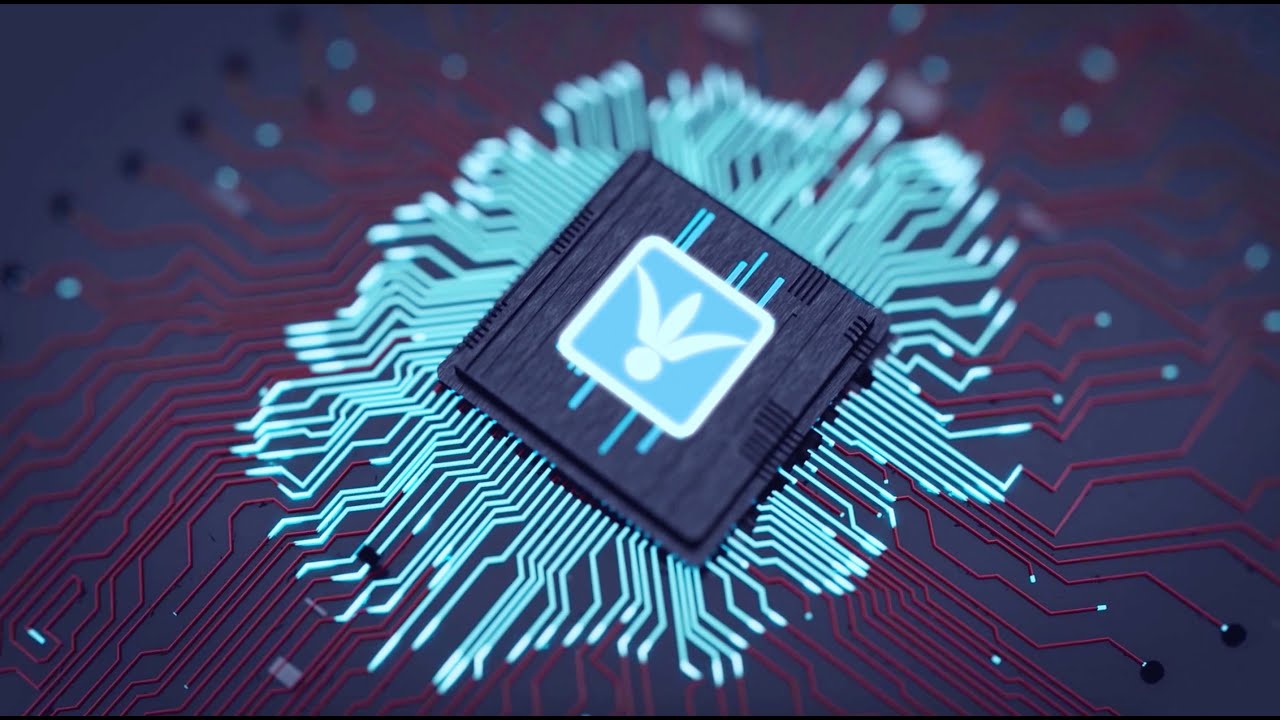 NAN YANG Never stop creating - YouTube