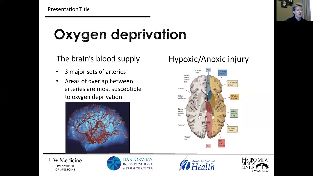 Domestic Violence and Brain Injury by Peggy Reisher, MSW - YouTube