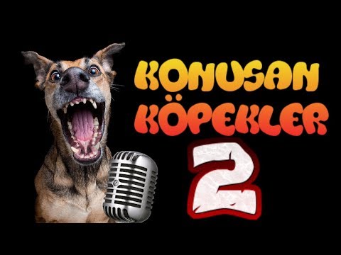 Konuşan Köpekler 2 - En Komik Köpek Videoları