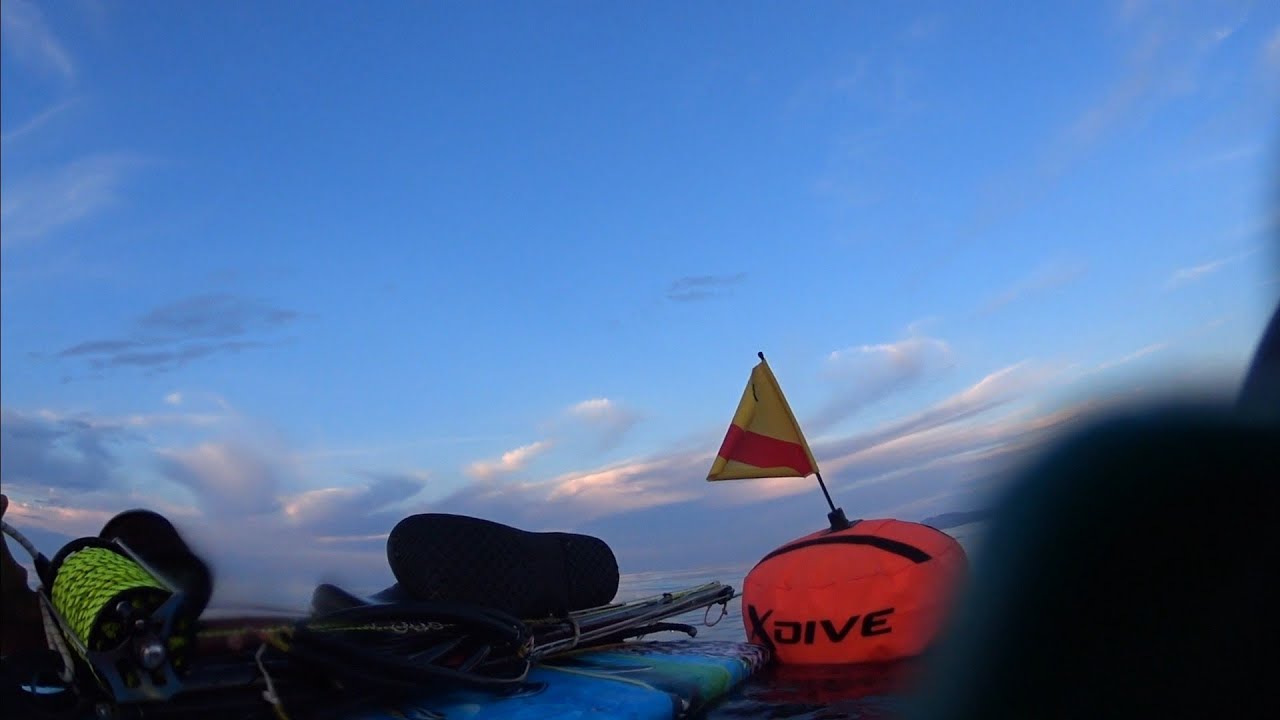 🎥 Ψαροντουφεκο Νύχτα | Επιτρέπεται ? 🔱 Night Spearfishing - YouTube