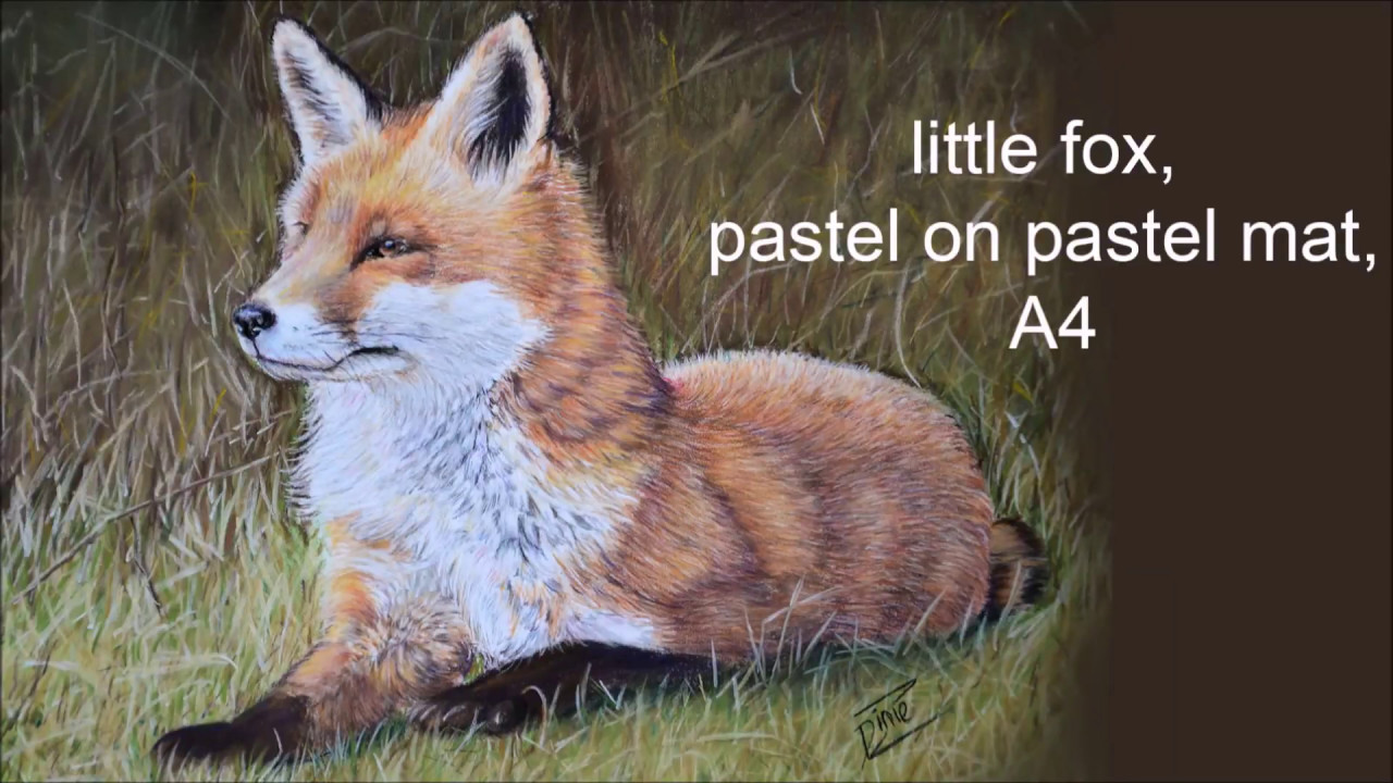 Little red Fox, pastel pencils - YouTube