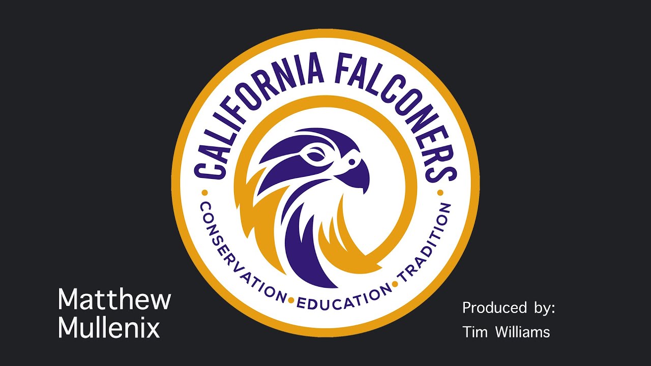 California Falconers #4 with Matthew Mullenix - YouTube