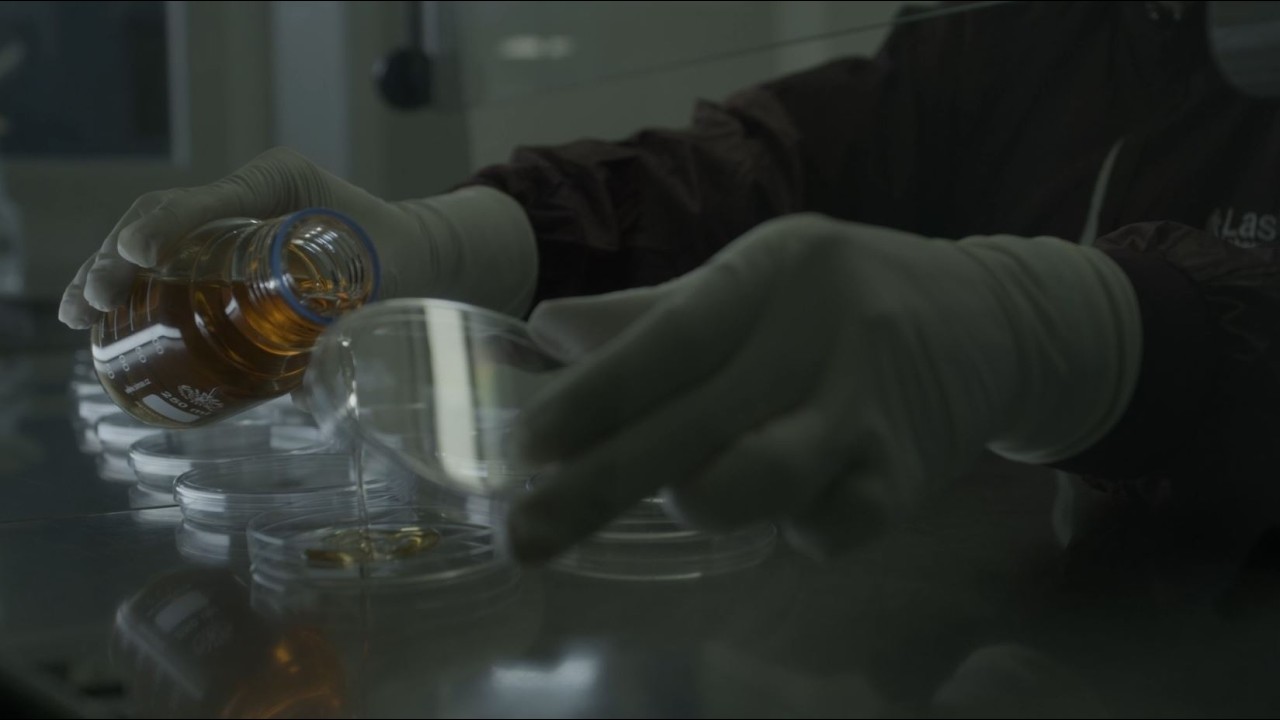 Laboratorios Lasca - Institucional 2026 - YouTube