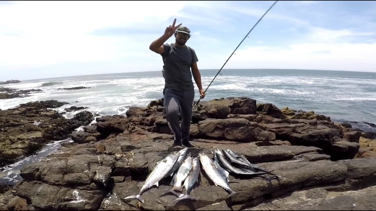 Tremenda pelea dan los Bonitos (Monos XL), Pesca y trabajo en equipo ...