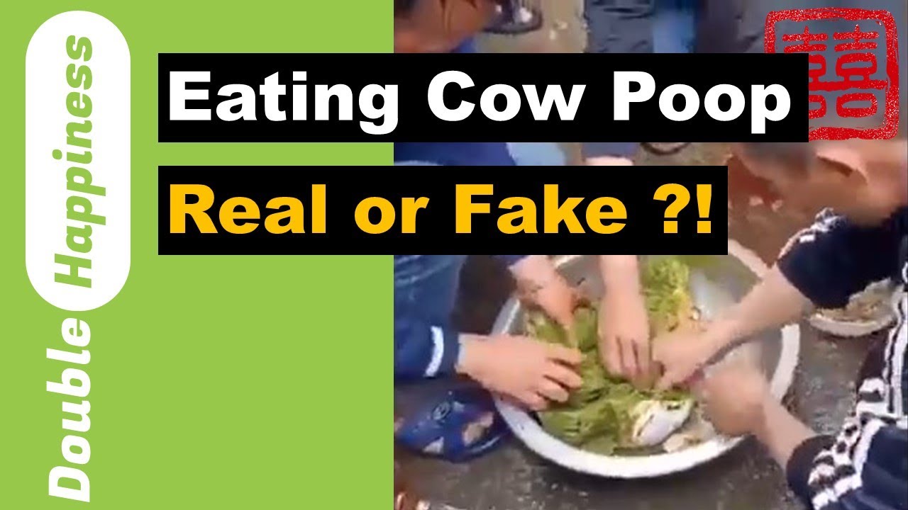 EATING COW POOP | You won't BELIEVE!!! | Most BIZARRE liziqi - YouTube