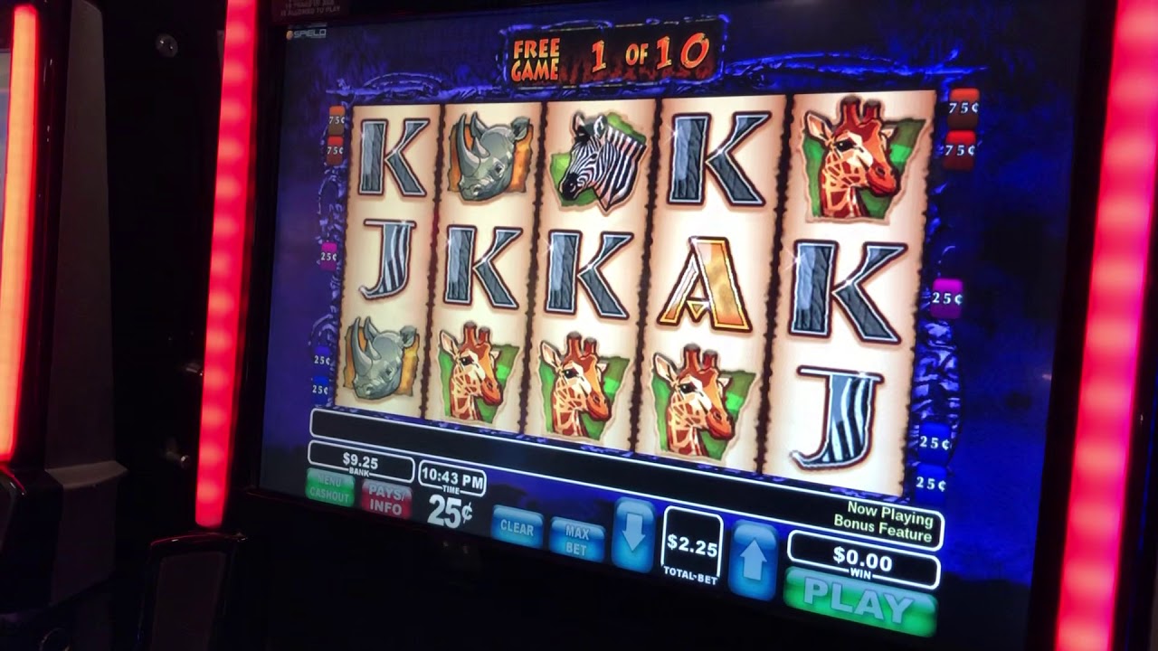 Nice little hit on Wild Life slot machine - YouTube
