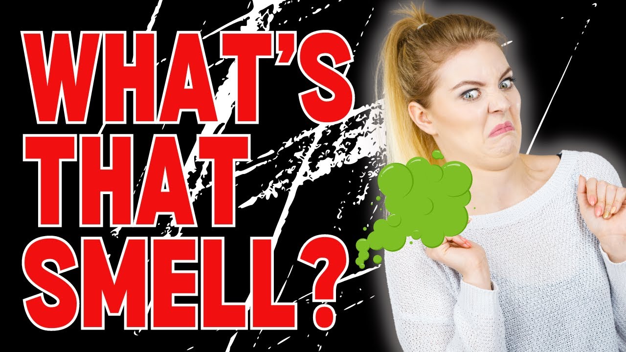 Viral TikTok Exposes the 'BBL Smell' – Is It Real? - YouTube