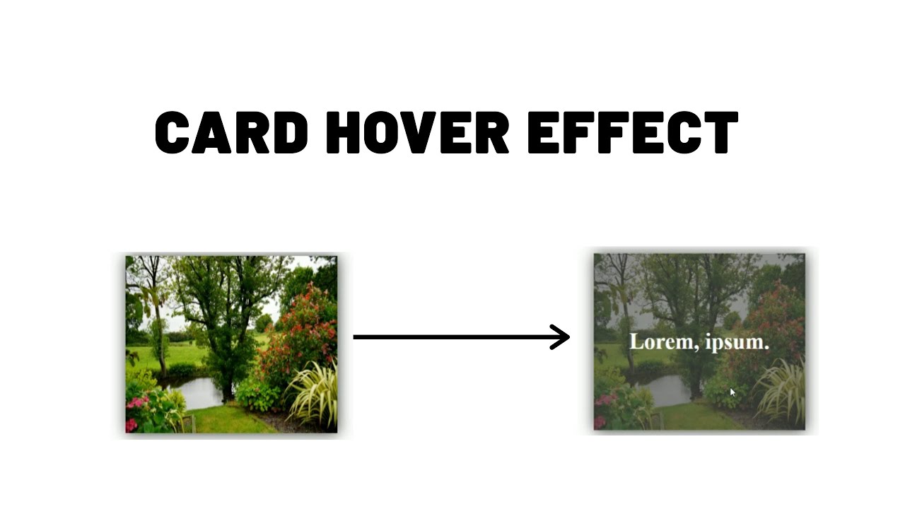 Card With Hover Effect Using Html5 And Css3 Youtube