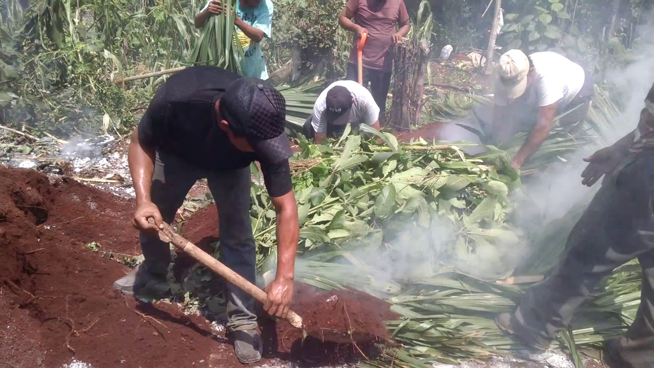 Elotes En PIB Maya - YouTube