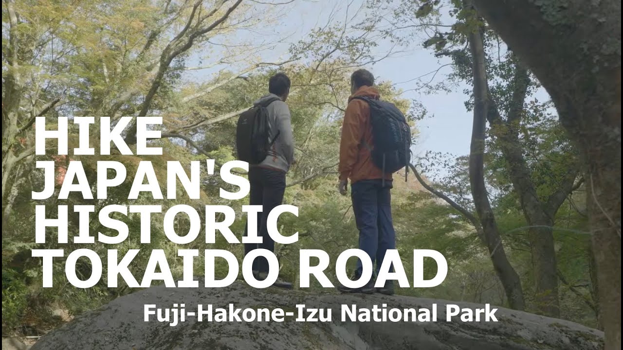 Tokaido Road