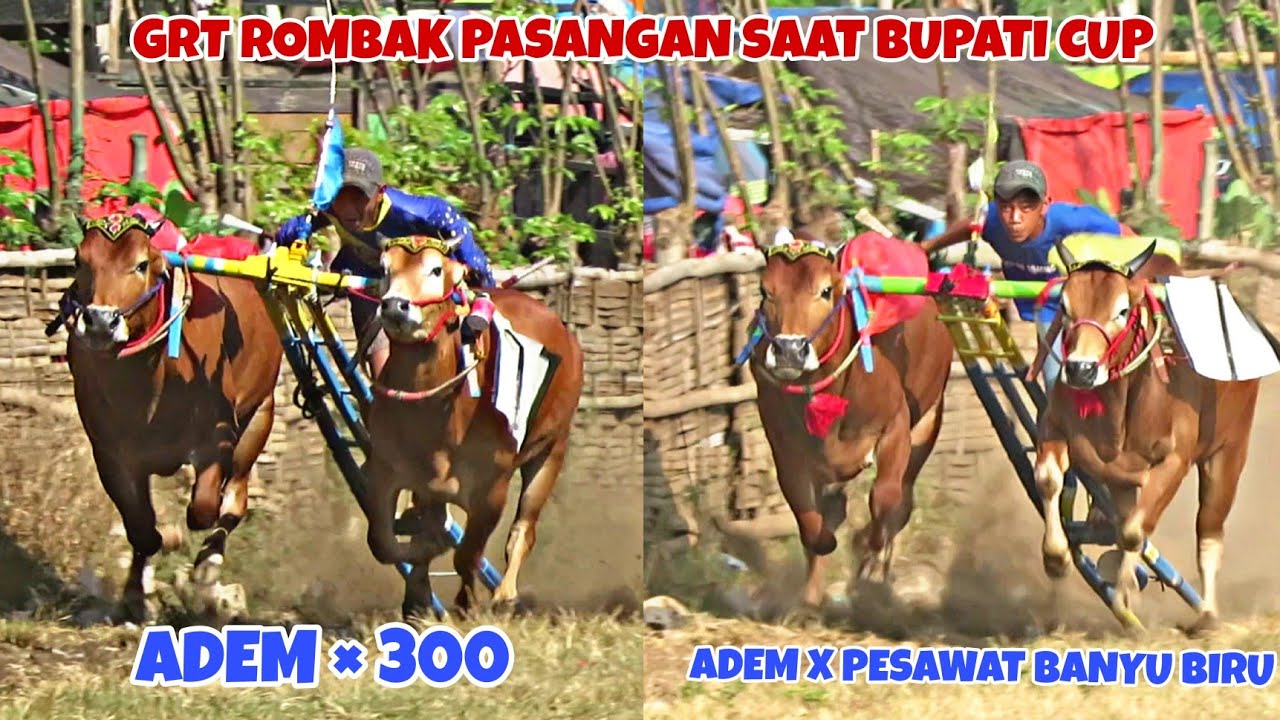 LATIHAN PAGI BUPATI CUP || GAGAK RIMANG ROMBAK PASANGAN TERLEBIH DAHULU ...