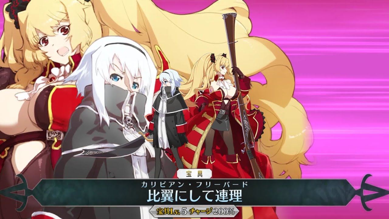 [Fate/Grand Order 60FPS 4K] 4* Anne Bonny & Mary Read Animation+Skill ...