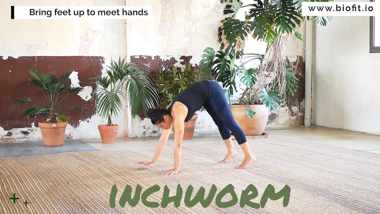 BIOFIT - Inchworm - Natural Fitness online course - YouTube
