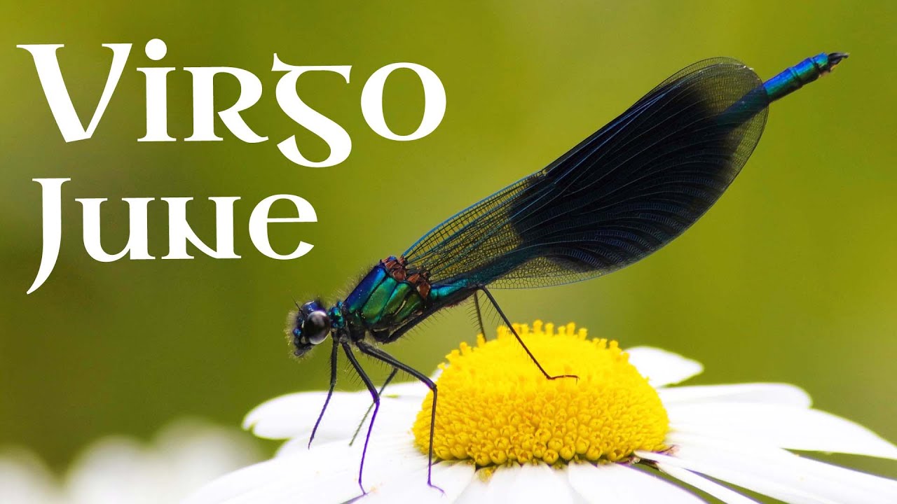 VIRGO CONNECT WITH THE DIVINE & MAKE YOURSELF A PRIORITY, THE OUTCOME ...