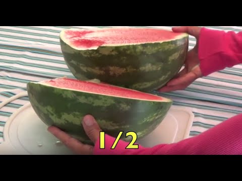 WATERMELON MATH = Learning FRACTIONS for KIDS / EDUCATIONAL CHILDREN ...