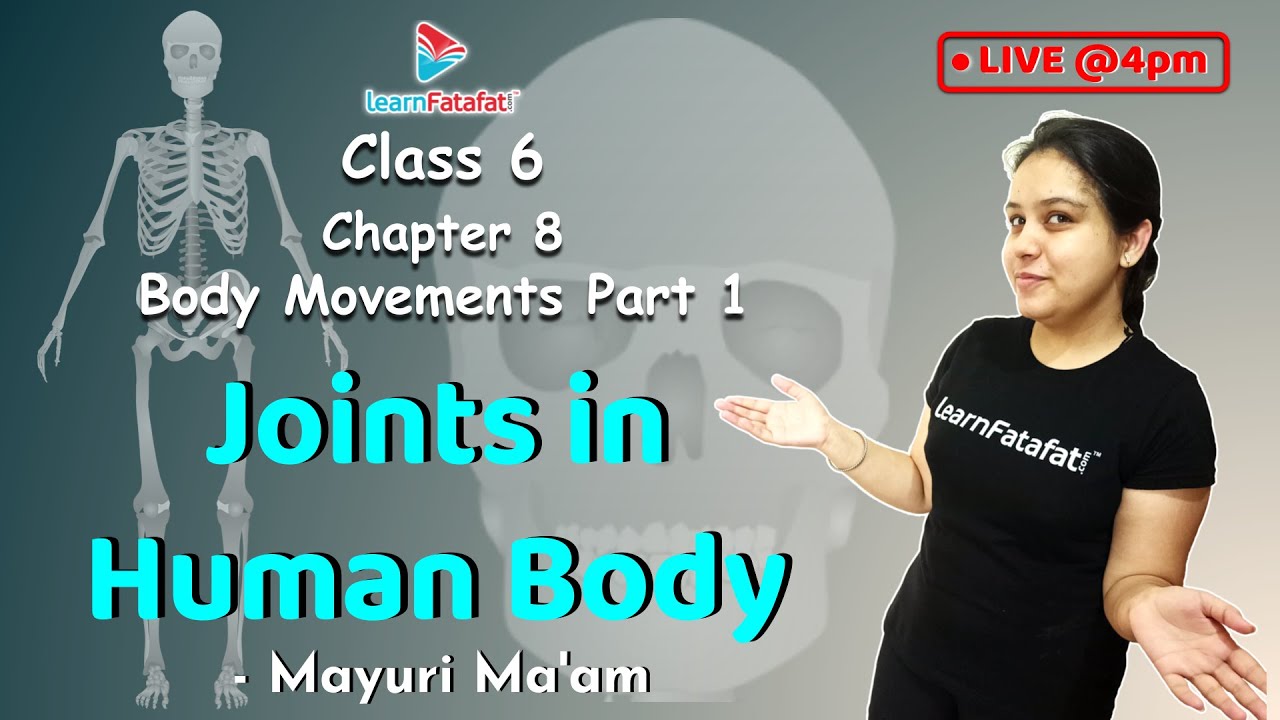 Class 6 Body Movements Part 1: Joints in Human Body - Mayuri Ma'am ...