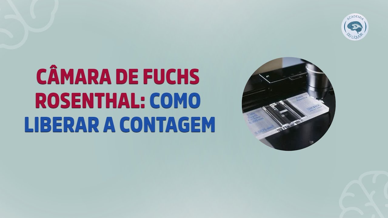 2 Modos correto de liberar contagem na Câmara de Fuchs Rosenthal - YouTube