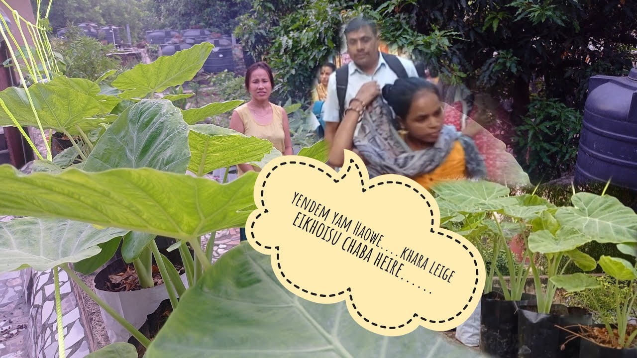Mayang su yendem da ngaore....Yendemgi demand yam leire.....Monday ...