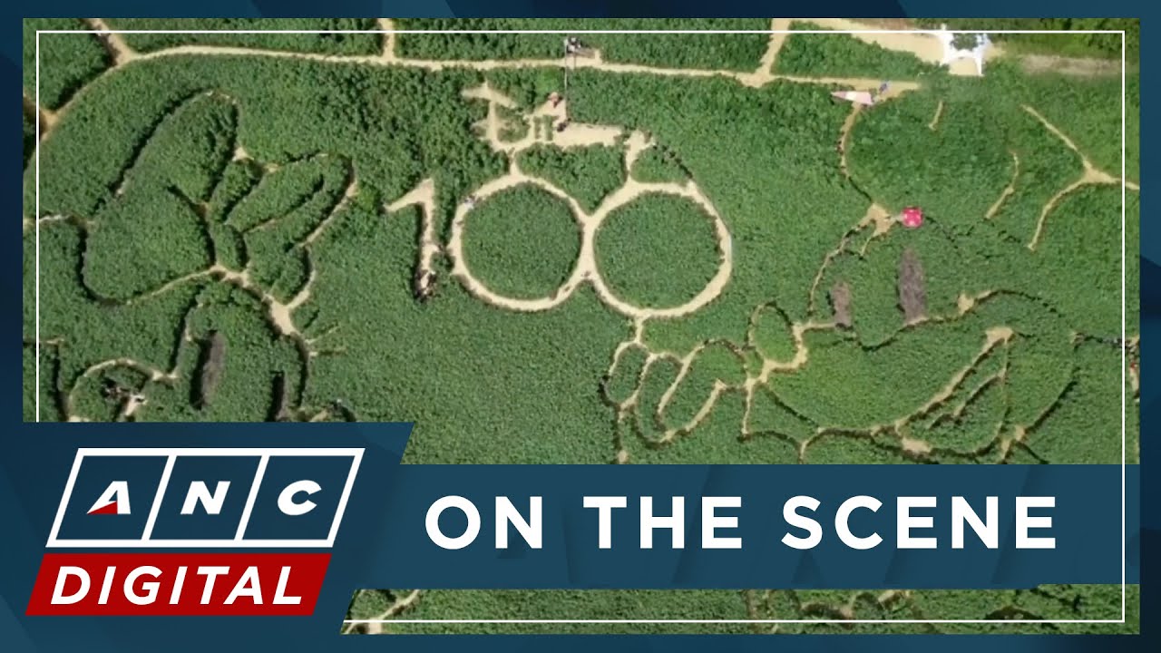 LOOK: German maze builder marks 100 years of Disney with Mickey Mouse ...